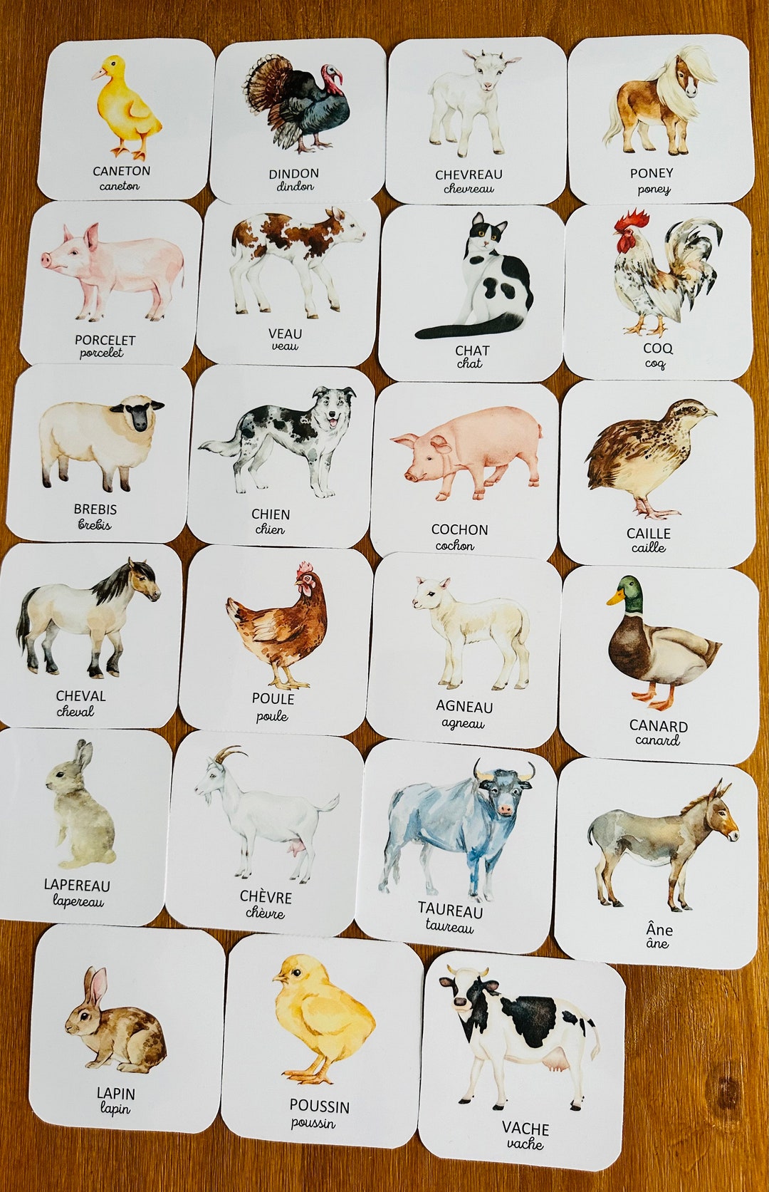 Farm Animals Nomenclature Card Kindergarten Educational Game Fun Game ...