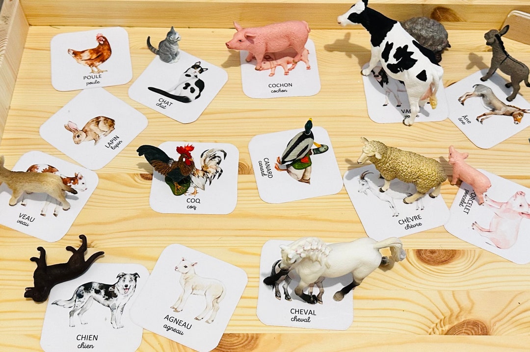 Farm Animal Nomenclature Card - Educational Kindergarten Game ...