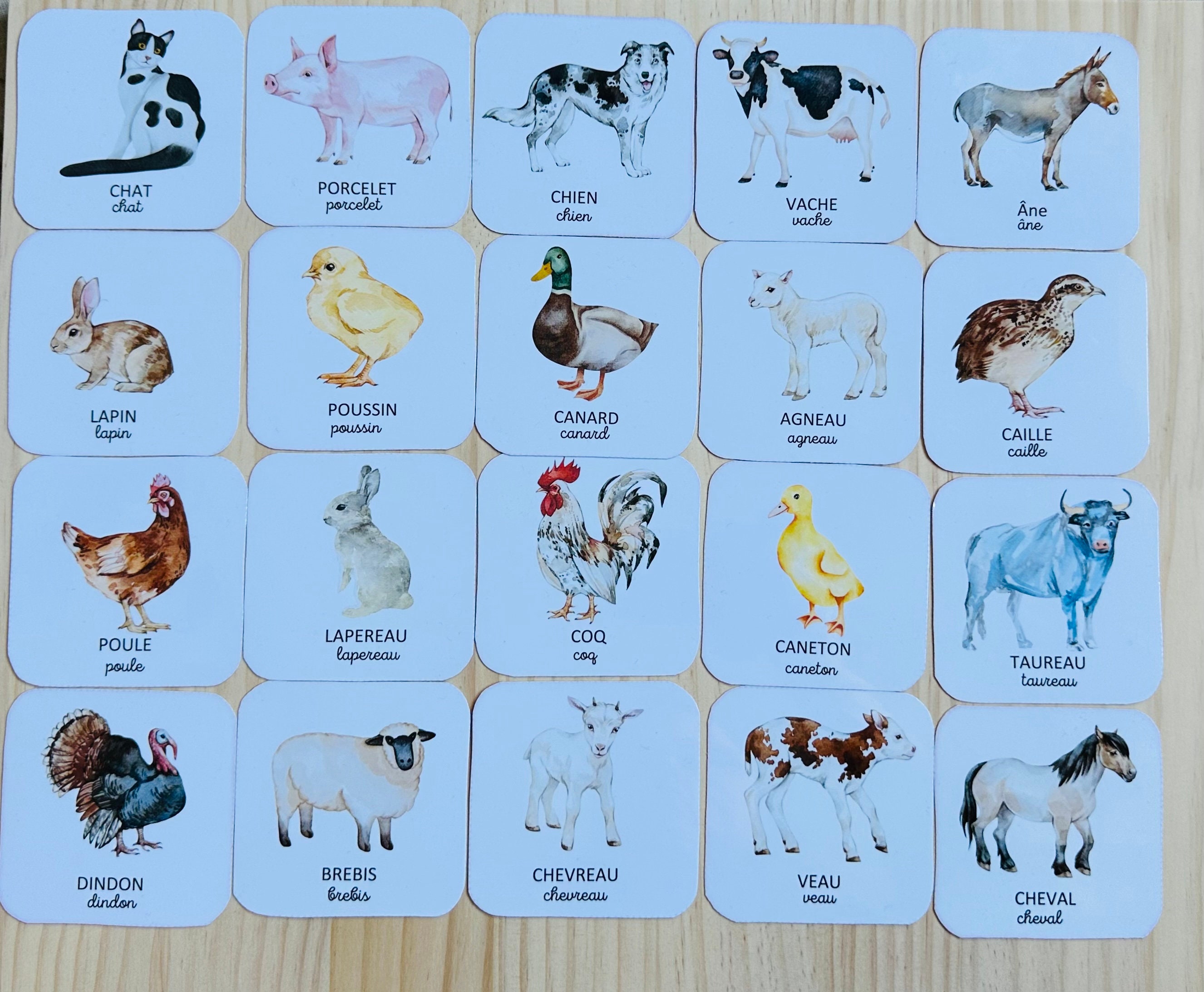 Farm Animals Nomenclature Card Kindergarten Educational Game Fun Game ...