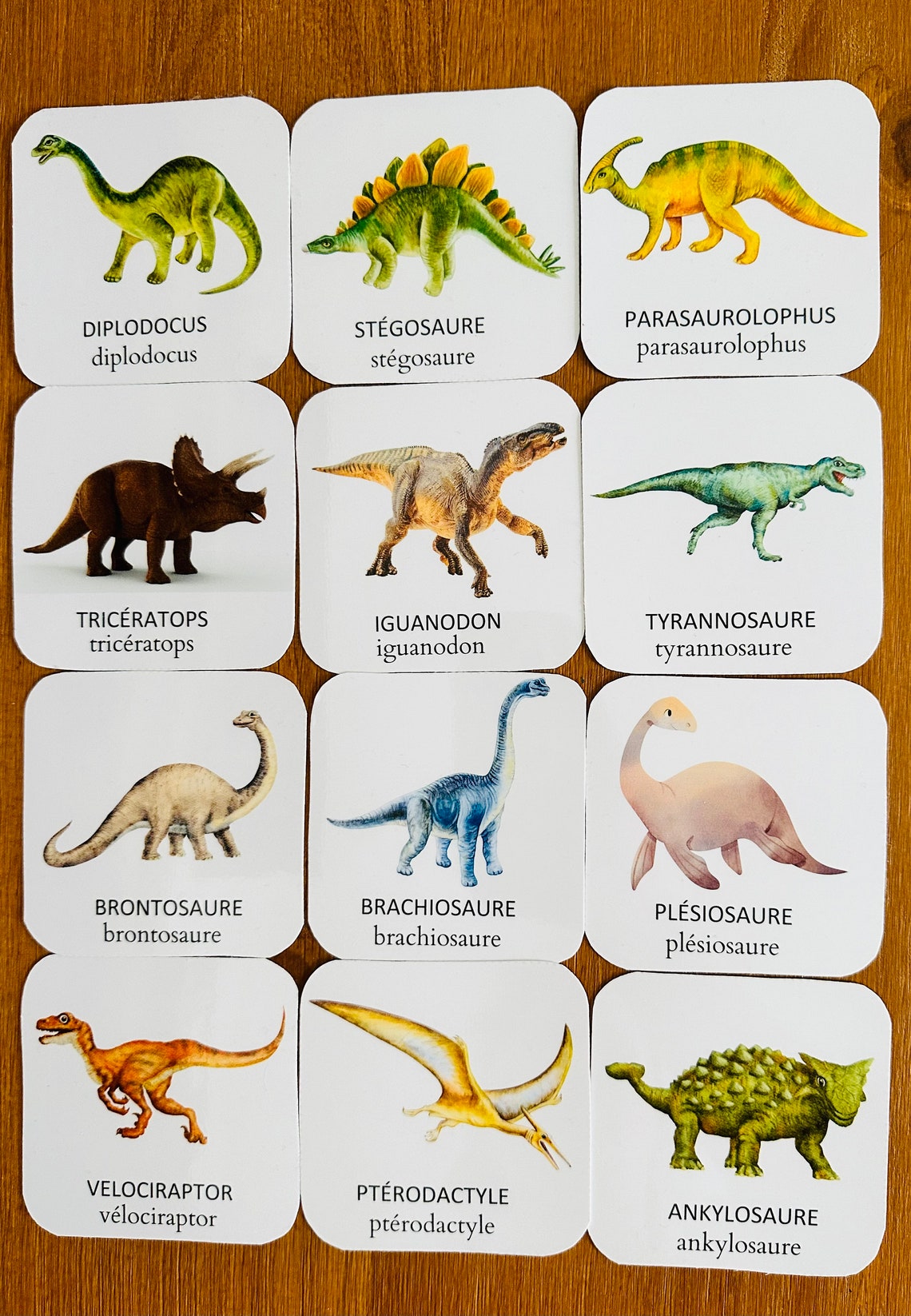 Dinosaur Nomenclature Card - Educational Game - Kindergarten Learning ...