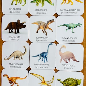 Dinosaur Nomenclature Card - Educational Game - Preschool Learning ...