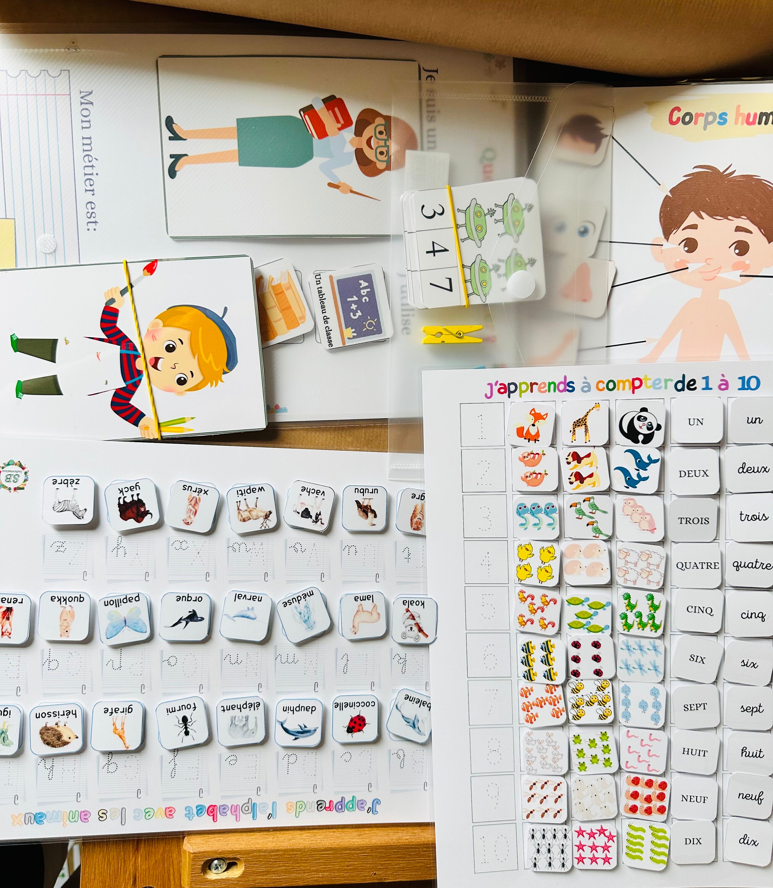 Aprendo el abecedario con animales reconocimiento fonético - Etsy España