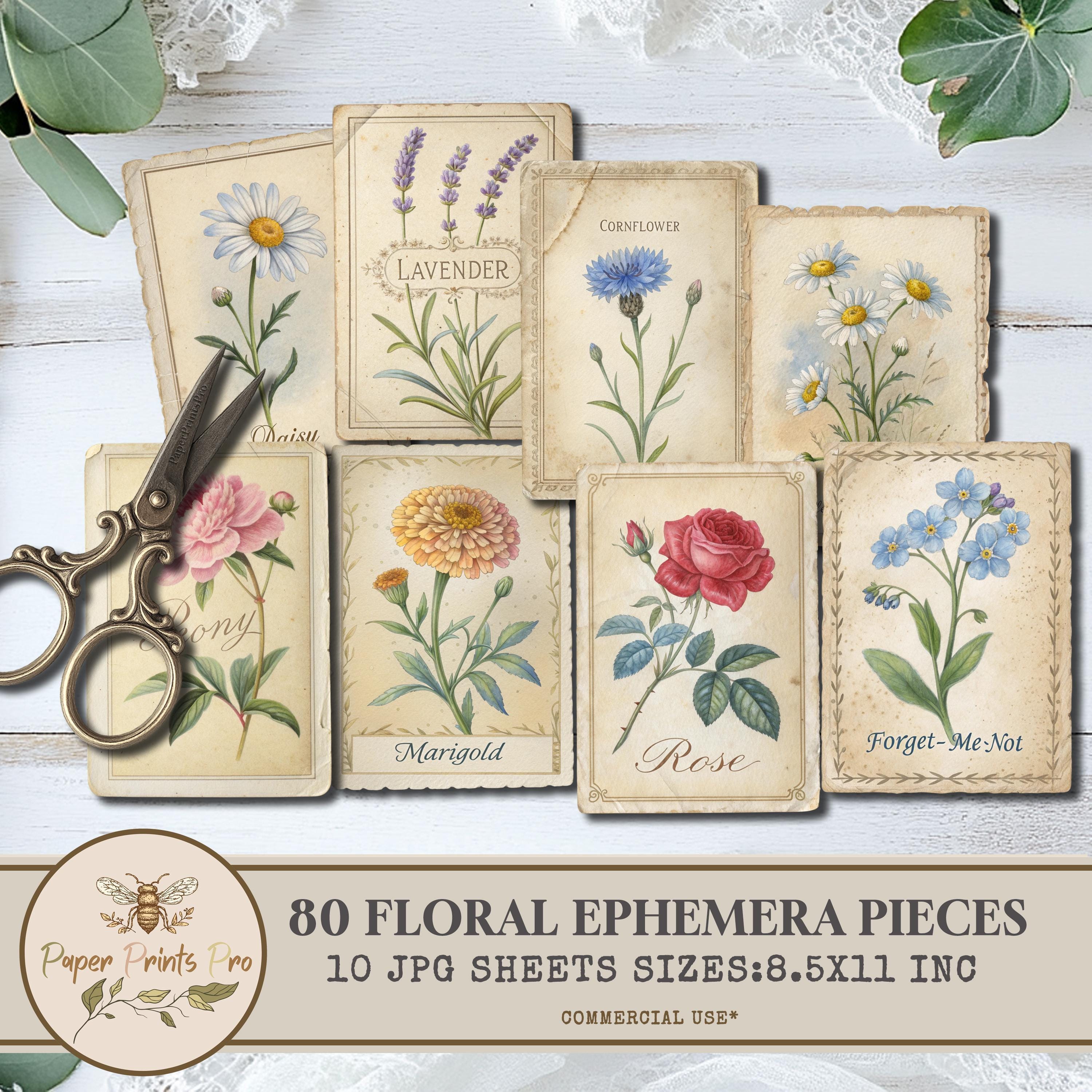 Vintage Floral Ephemera Set: Botanical Labels, Cards, Tags (digital ...