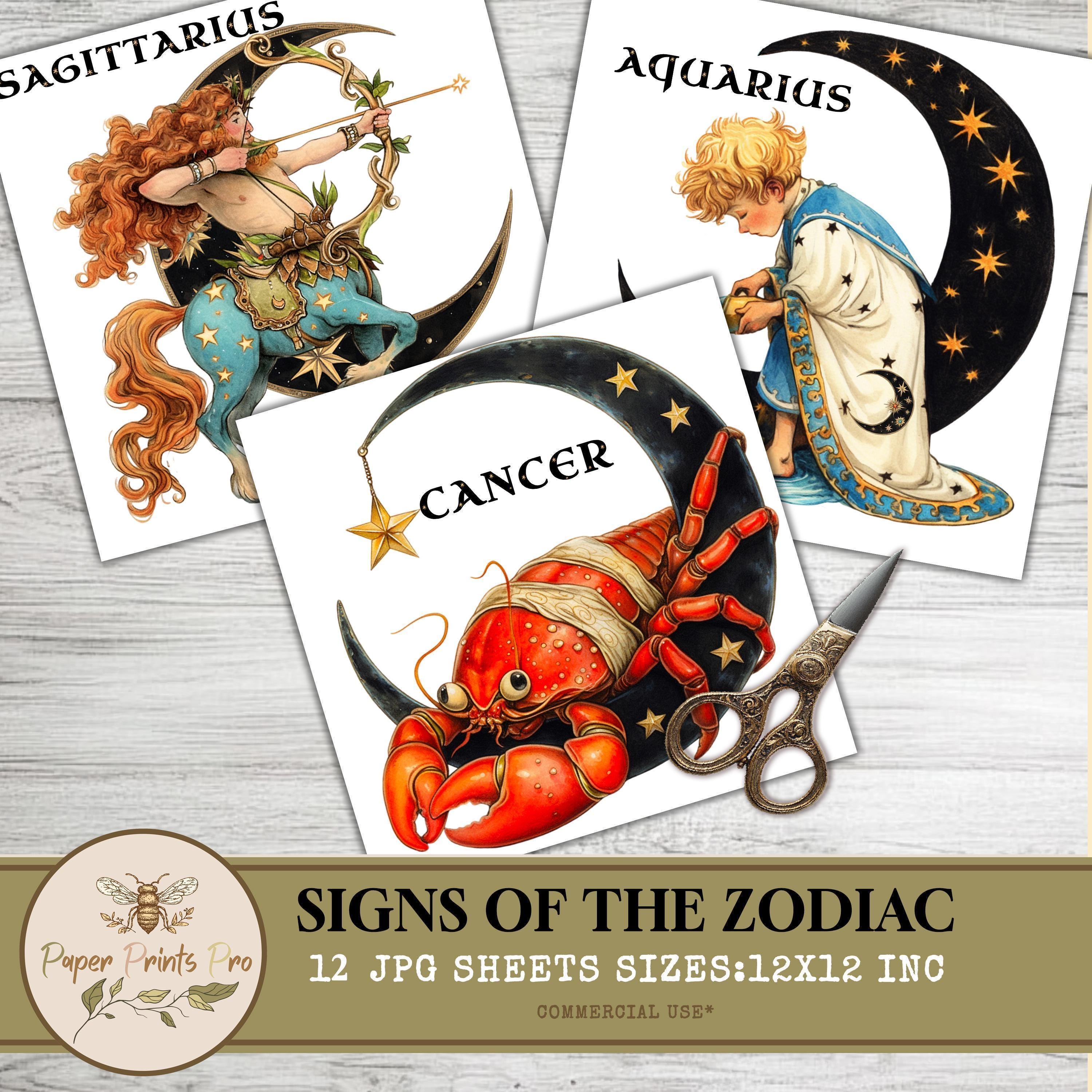 Zodiac Signs Clipart Bundle: Astrology Symbol Graphics (digital ...