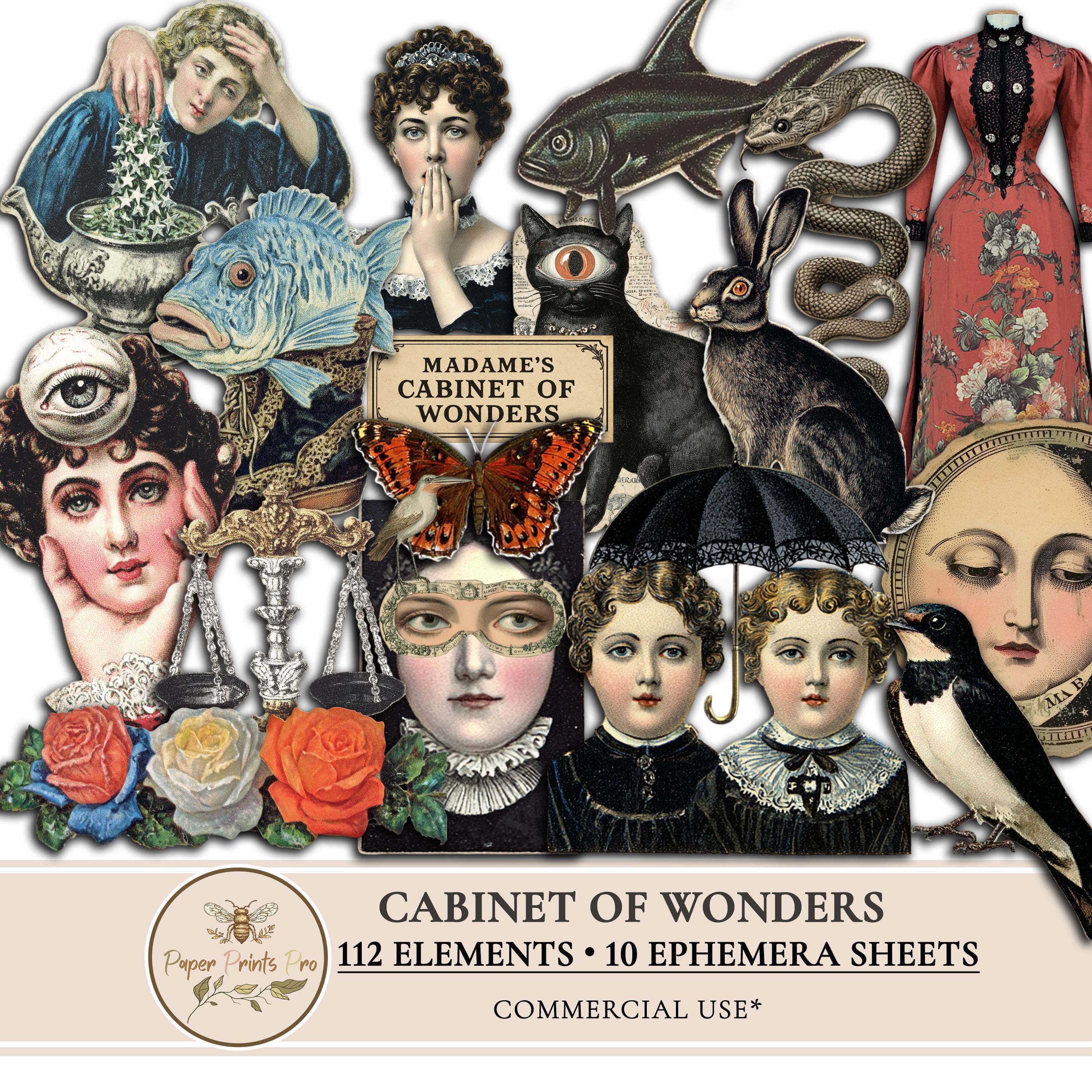 Ephemera Victorian Oddities Pack. Weird Vintage Ephemera Curiosa ...