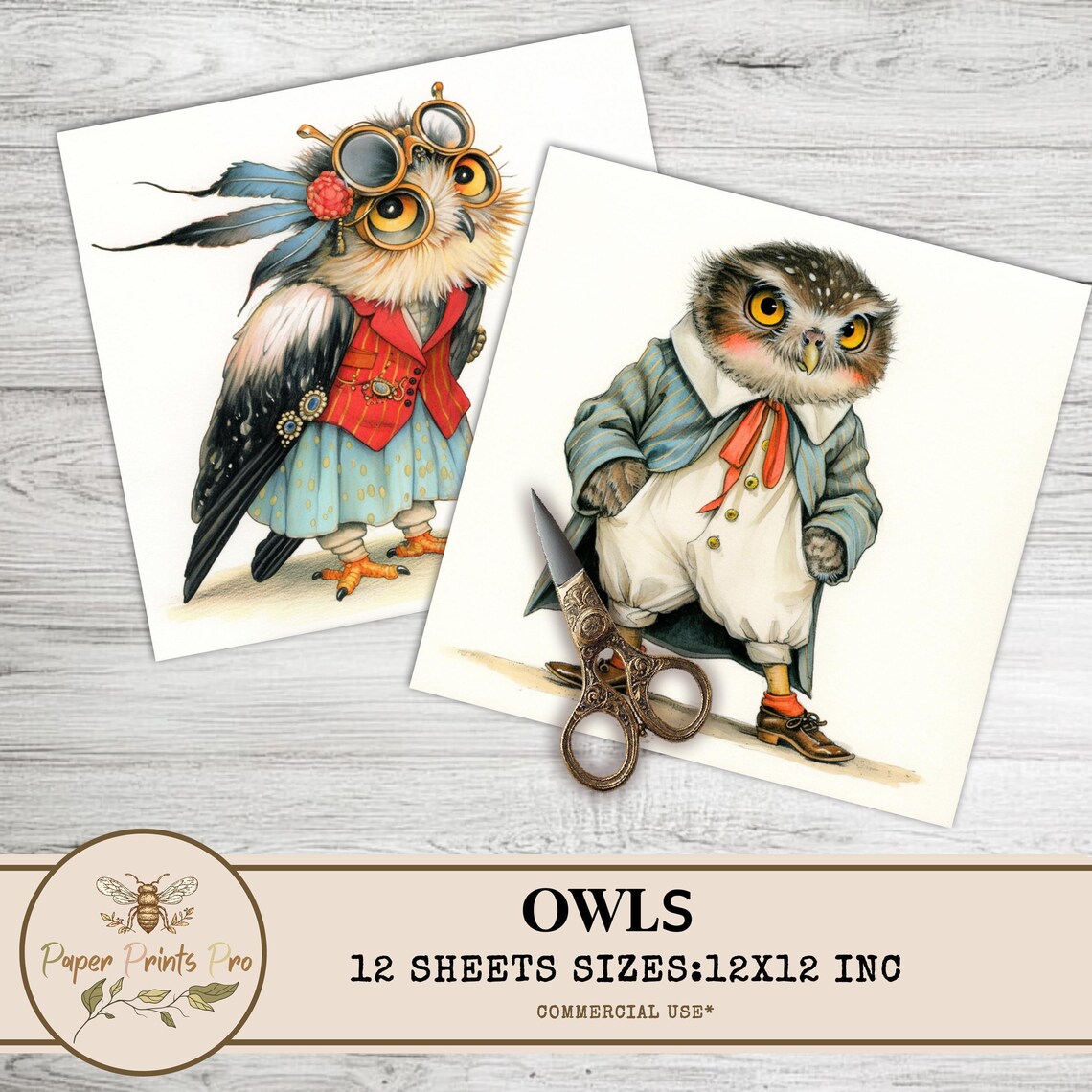 Vintage Owls Clipart JPG - 12 Digital Papers for Scrapbooking & Crafts ...