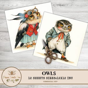 Vintage Owls Clipart JPG - 12 Digital Papers for Scrapbooking & Crafts ...
