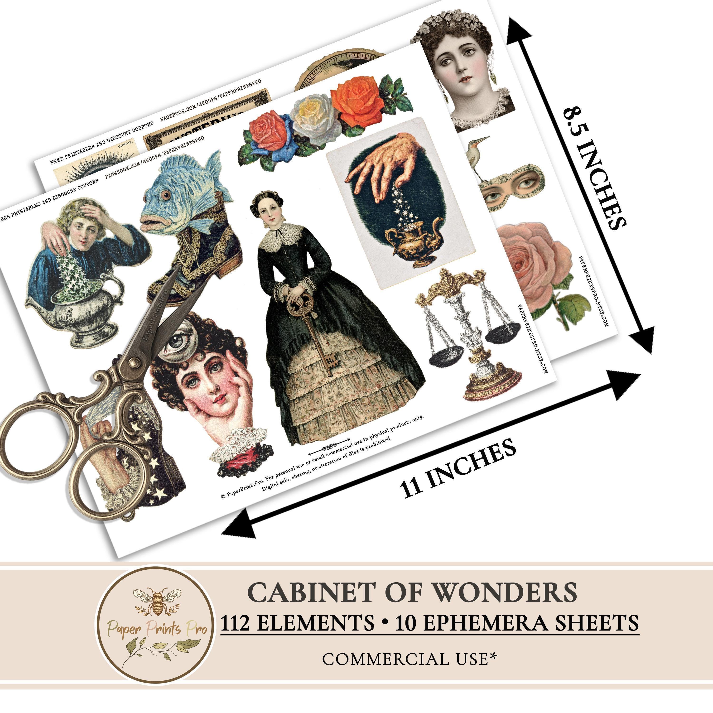 Ephemera Victorian Oddities Pack. Weird Vintage Ephemera Curiosa ...