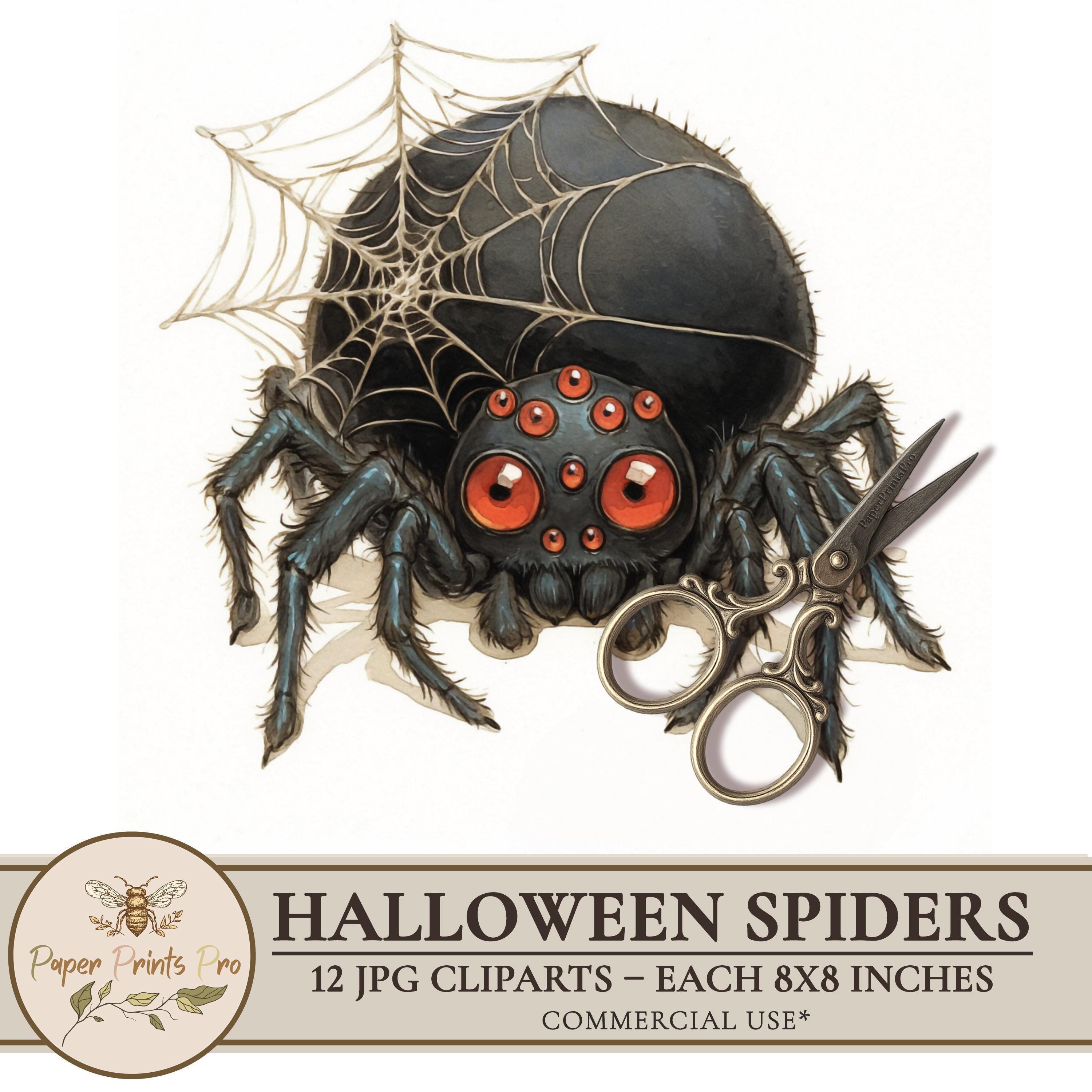 Creepy Halloween Spider Clipart – Pumpkin Designs (digital Download) - Etsy