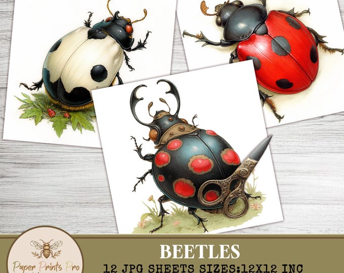 Digital Bugs, Beetles and Bees Instant Download Collage Sheet for Paper ...