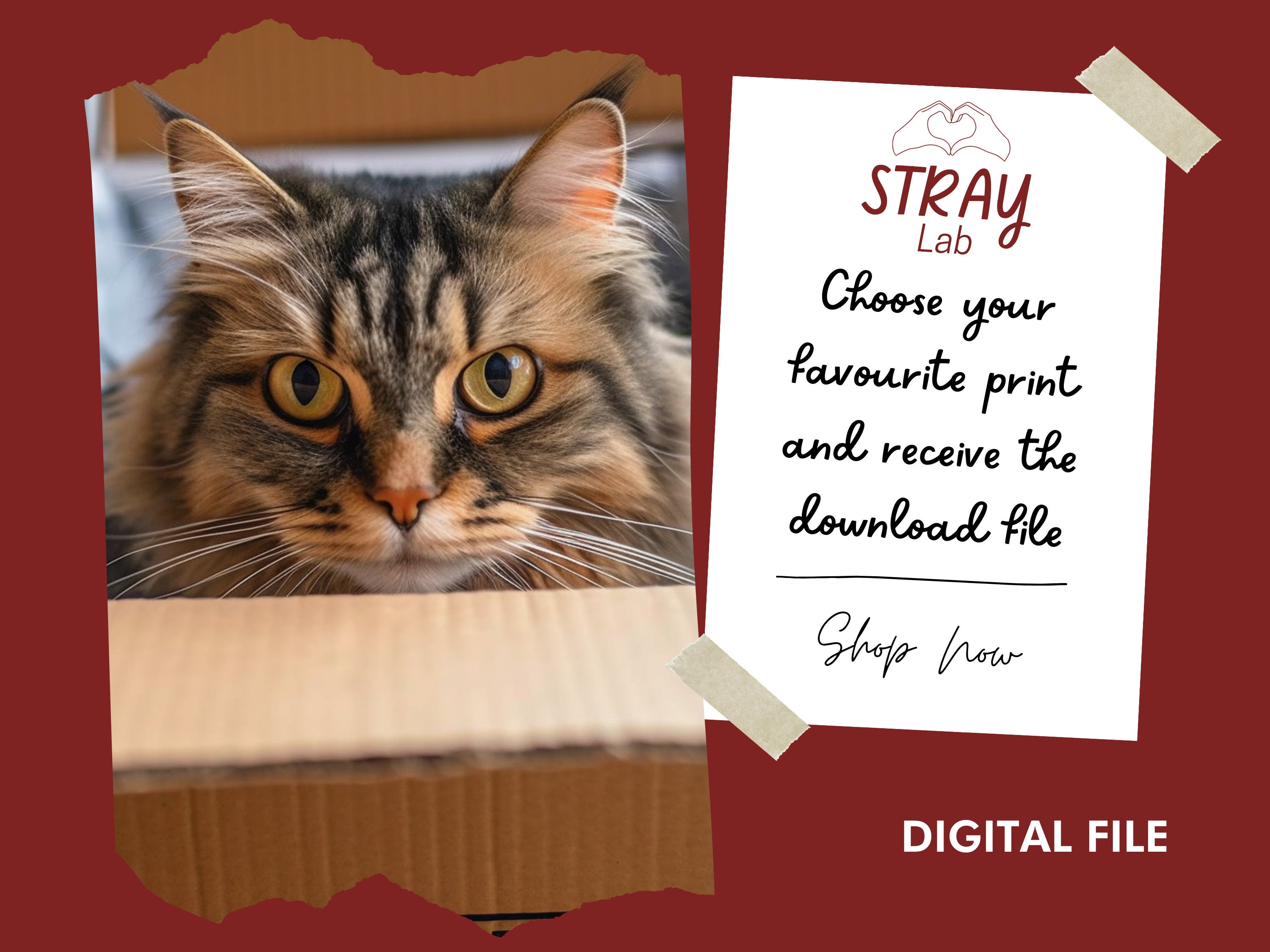 PRINTABLE POSTER From Stray Lab Collection - Etsy