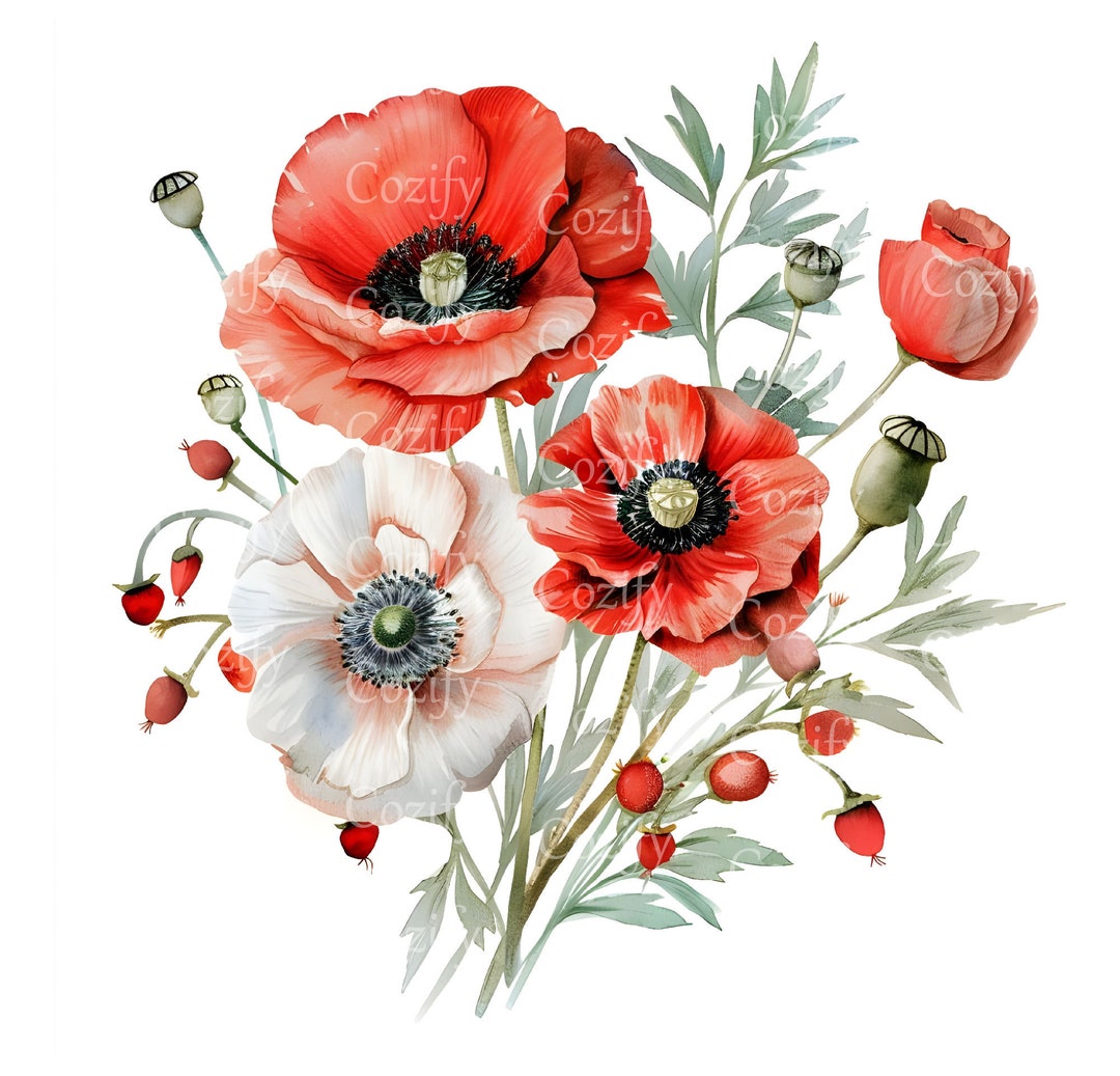 12 Watercolor Poppy Flowers| Clipart| Printable| Digital Download ...