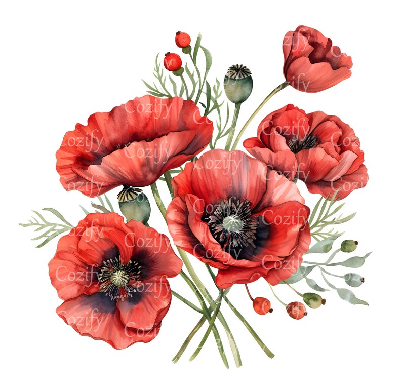 12 Watercolor Poppy Flowers Clipart Printable Digital Download ...