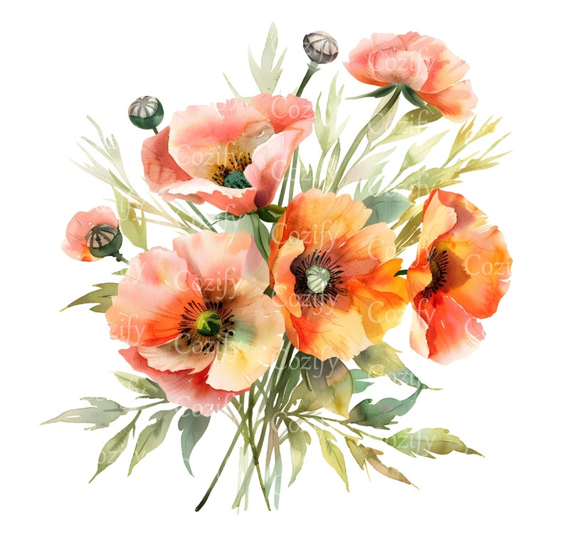 Watercolor Poppy Flowers Clipart: Scrapbook Paper Craft (digital ...