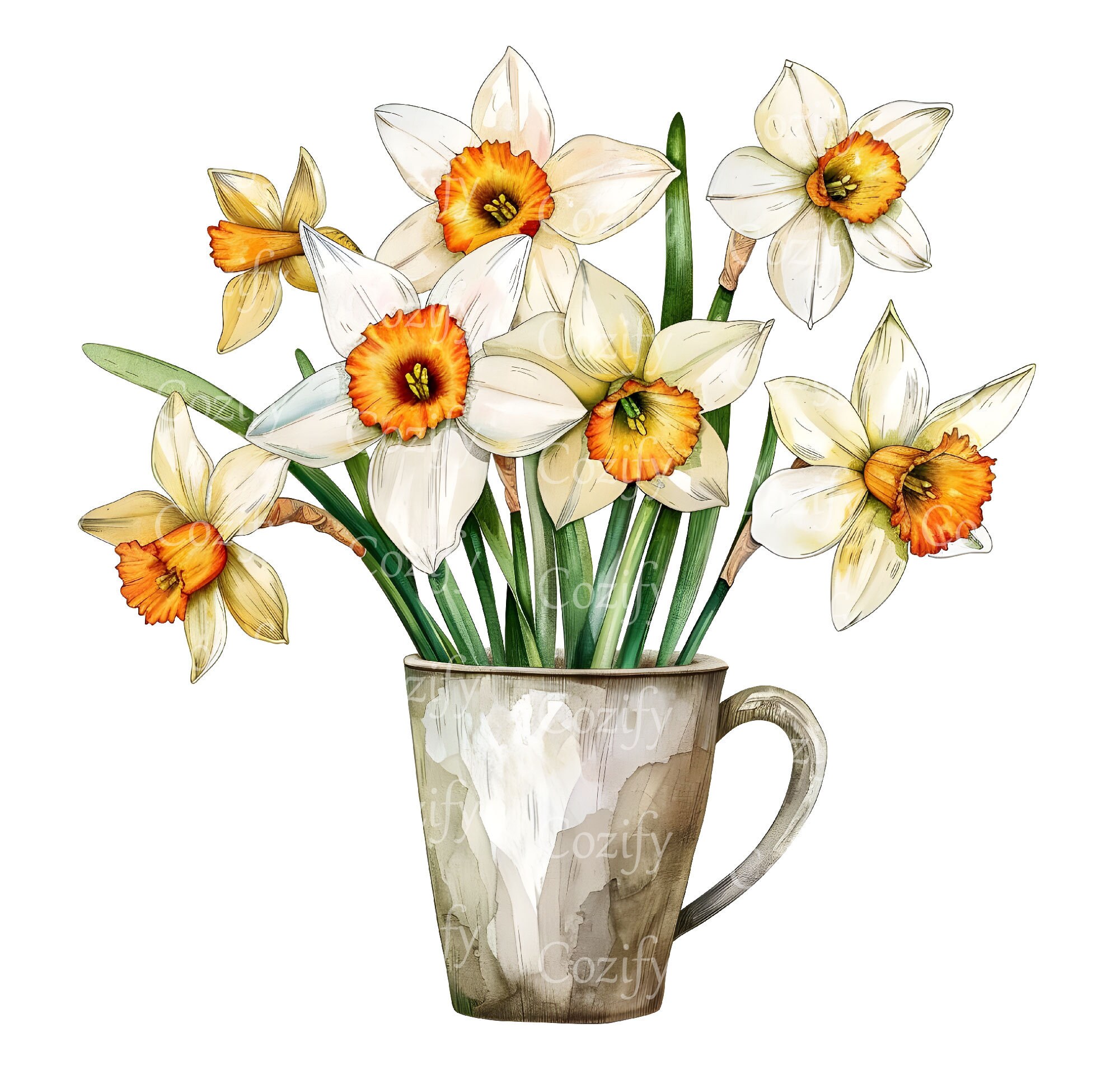 12 Watercolor Daffodils| Flowers| Clipart| Printable| Digital Download ...