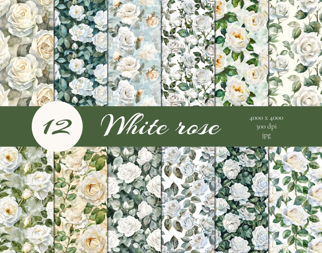 Watercolor White Rose Digital Paper: Seamless Floral Patterns (digital ...