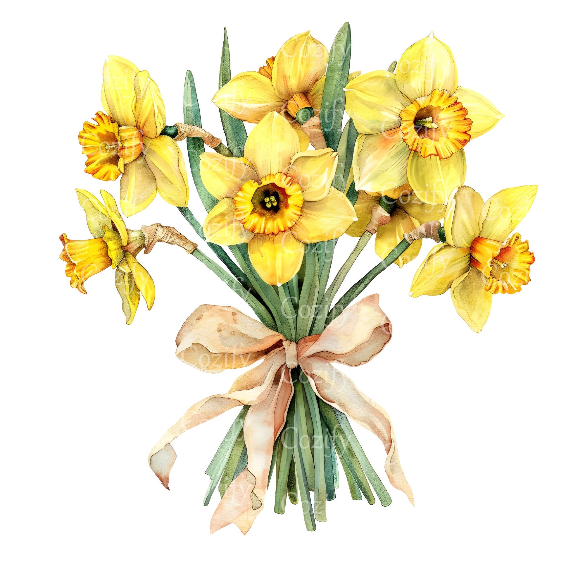 12 Watercolor Daffodils| Flowers| Clipart| Printable| Digital Download ...