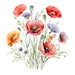 Watercolor Poppy Flowers Clipart: Scrapbook Paper Craft (digital ...
