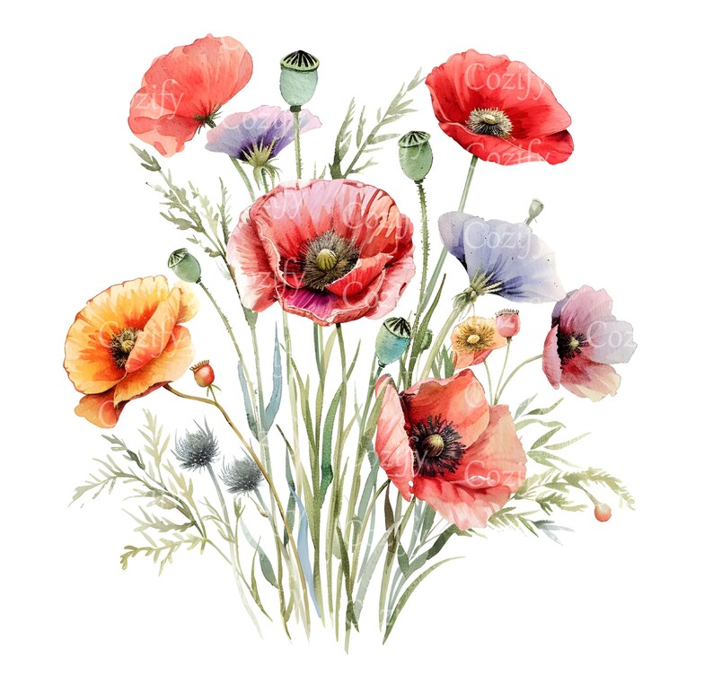 12 Watercolor Poppy Flowers| Clipart| Printable| Digital Download ...