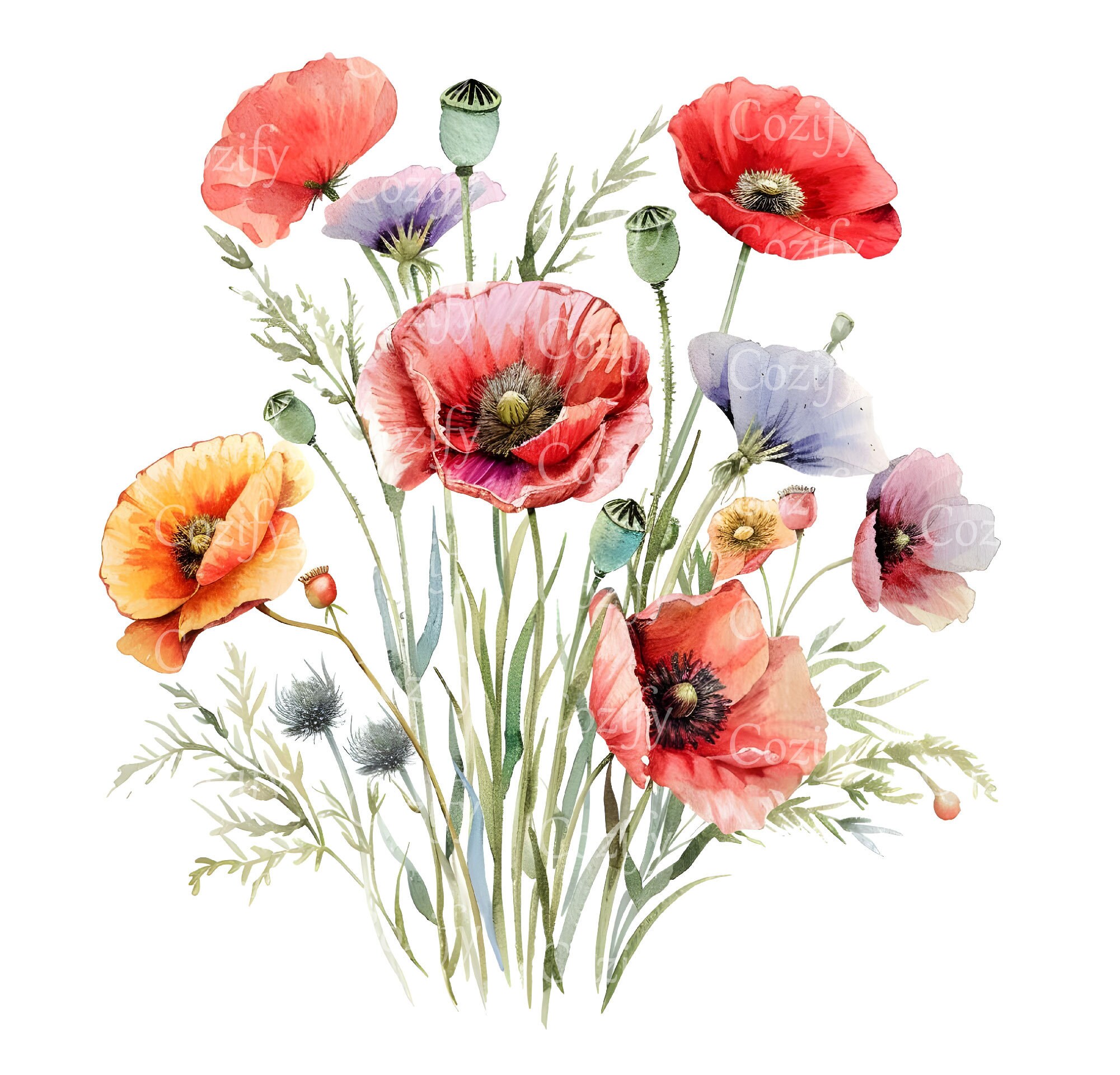 12 Watercolor Poppy Flowers| Clipart| Printable| Digital Download ...