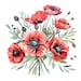 Watercolor Poppy Flowers Clipart: Scrapbook Paper Craft (digital ...