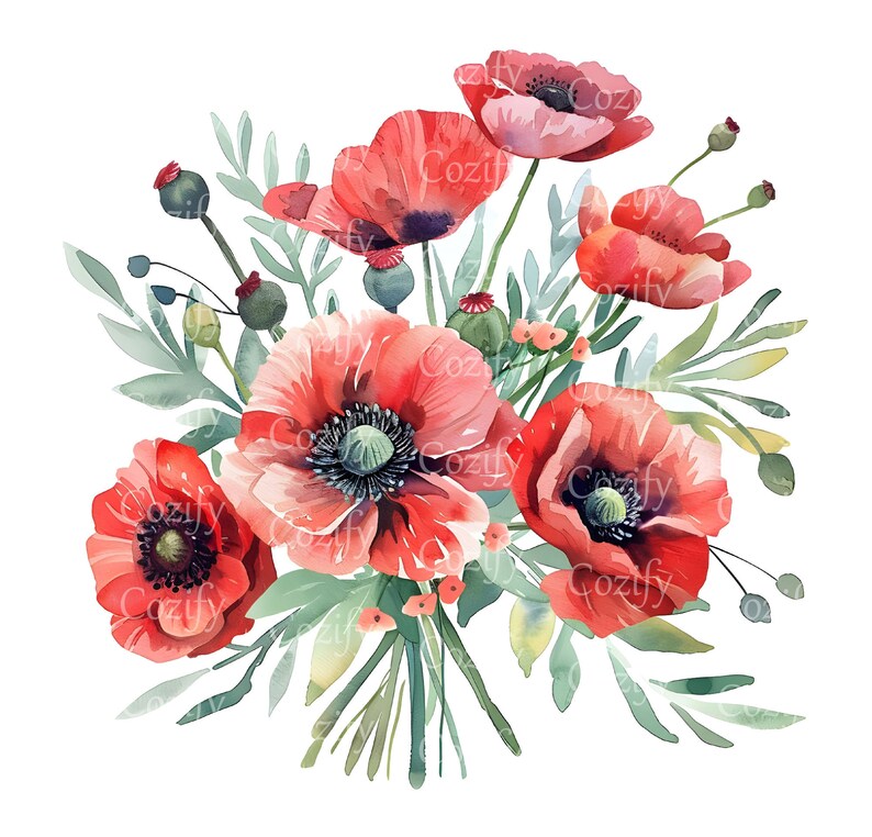 12 Watercolor Poppy Flowers Clipart Printable Digital Download ...