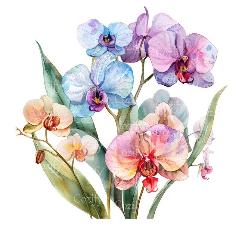 12 Watercolor Orchids Flowers| Clipart| Printable| Digital Download ...