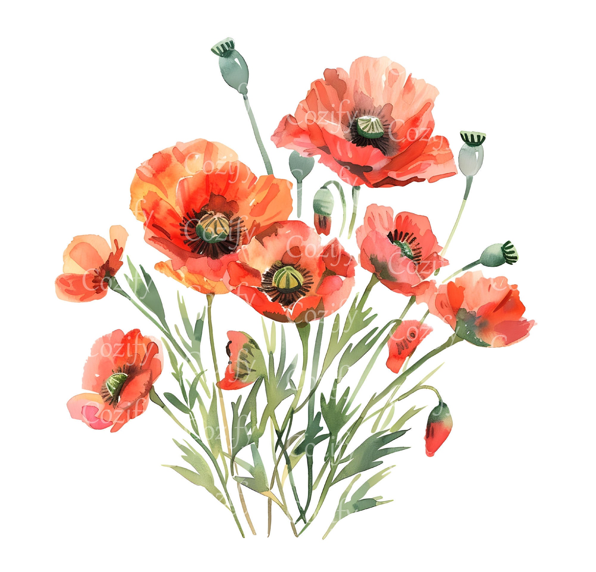 Watercolor Poppy Flowers Clipart: Scrapbook Paper Craft (digital ...
