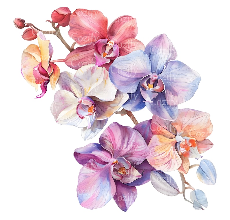 12 Watercolor Orchids Flowers| Clipart| Printable| Digital Download ...