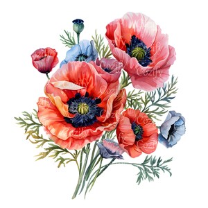 12 Watercolor Poppy Flowers Clipart Printable Digital Download ...