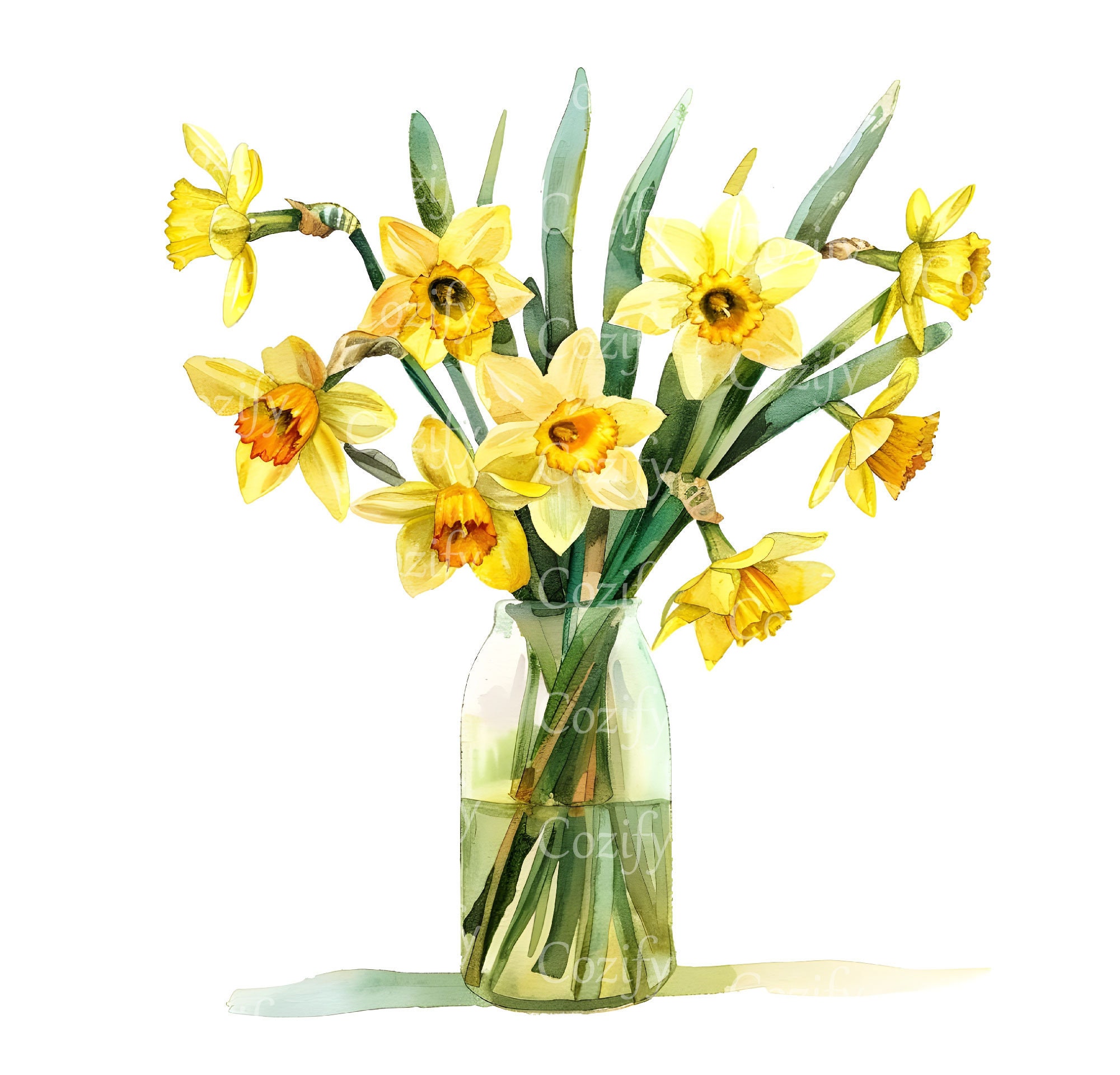 12 Watercolor Daffodils| Flowers| Clipart| Printable| Digital Download ...
