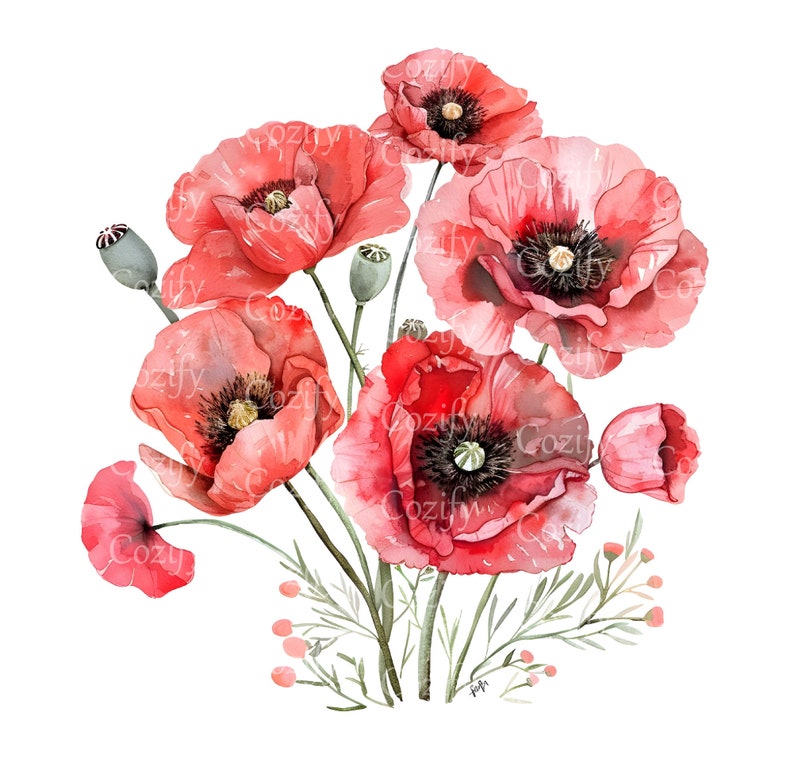 Watercolor Poppy Flowers Clipart: Scrapbook Paper Craft (digital ...