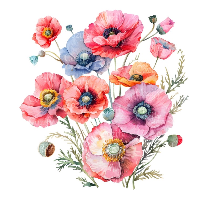 Watercolor Poppy Flowers Clipart: Scrapbook Paper Craft (digital ...