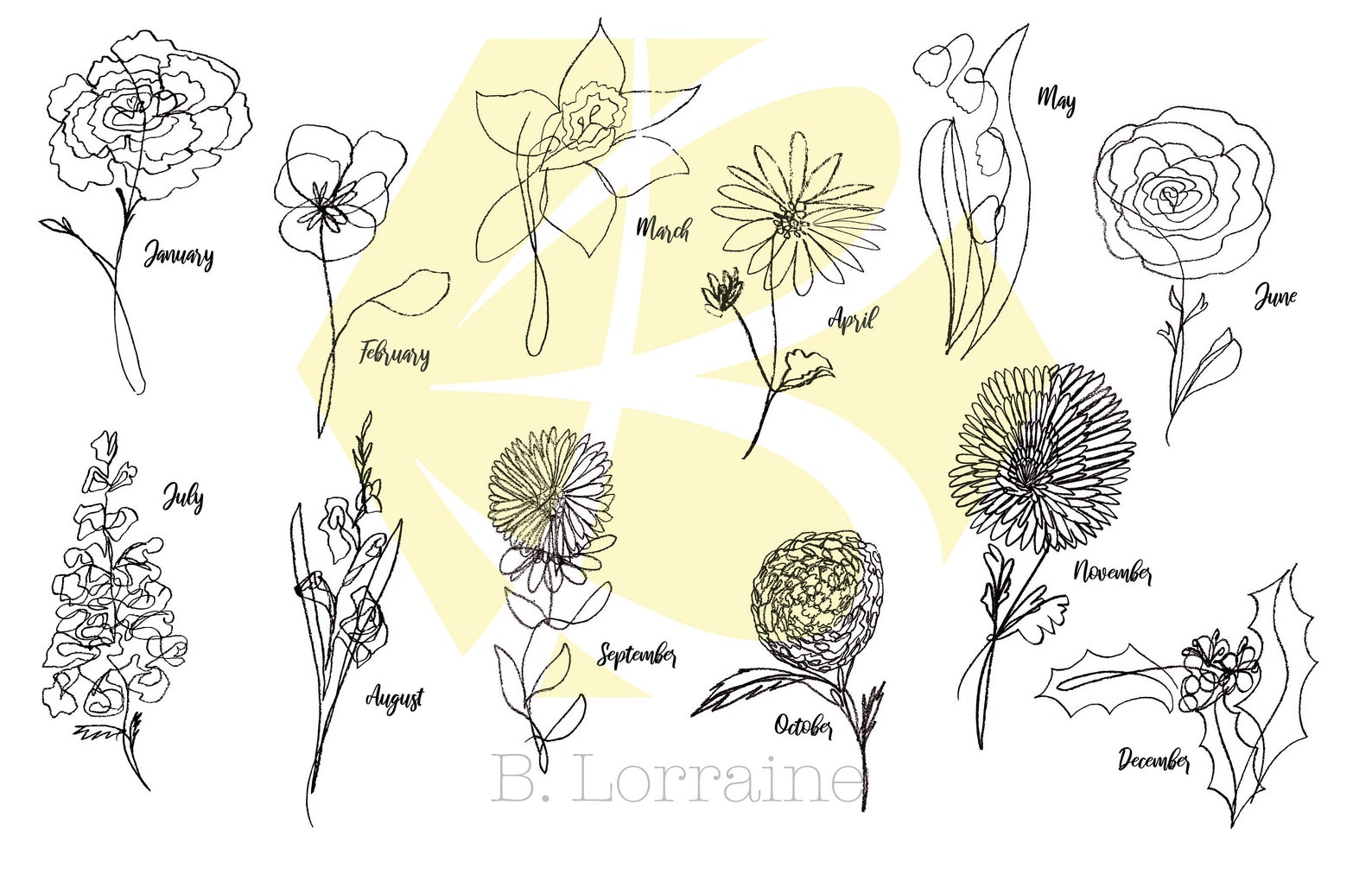 Birth Flower PNG Collection, Hand-drawn Floral Illustrations, Line Art ...
