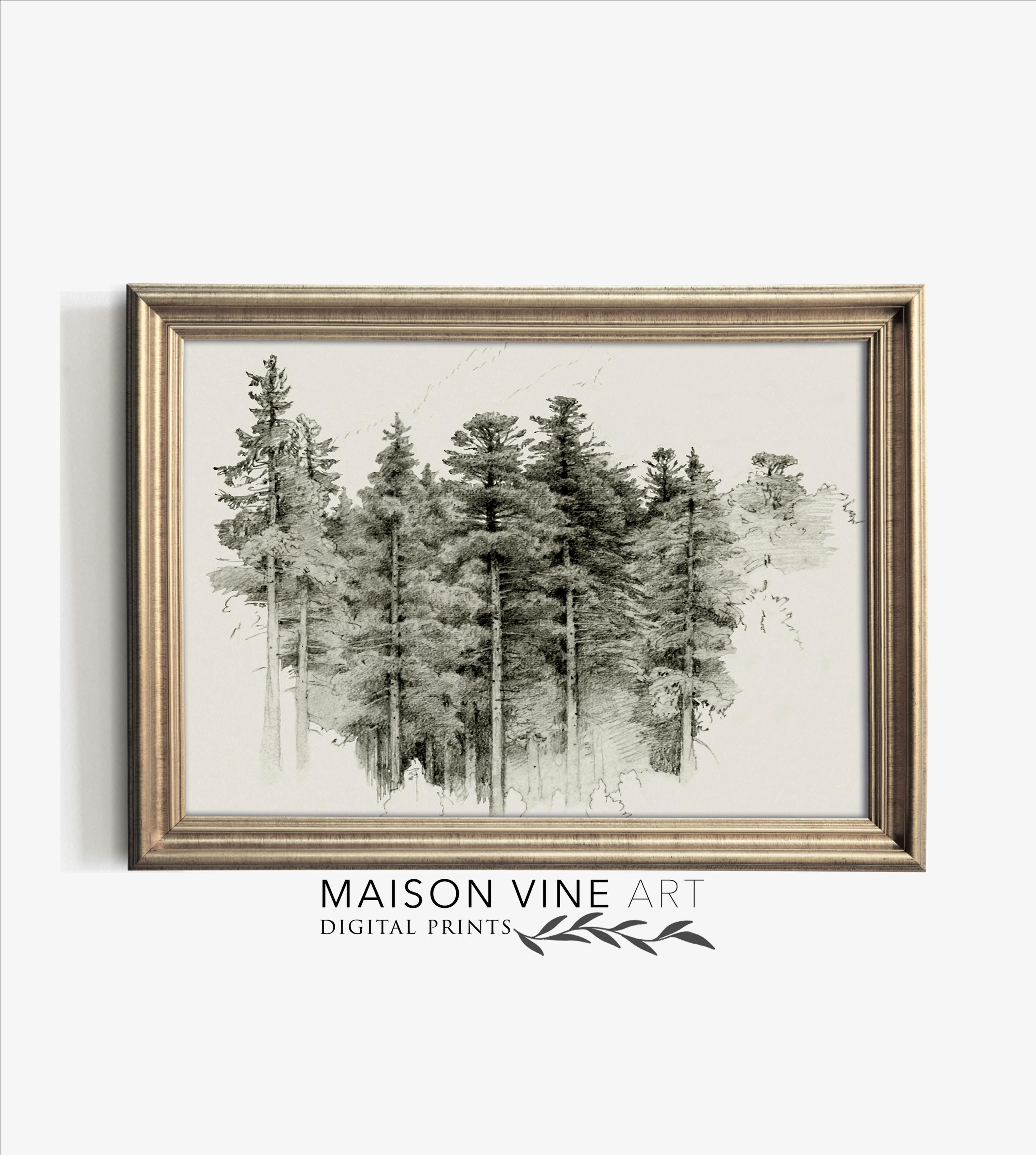 Pine Forest Drawing | Downloadable Printable Digital Art | 1065 - Etsy
