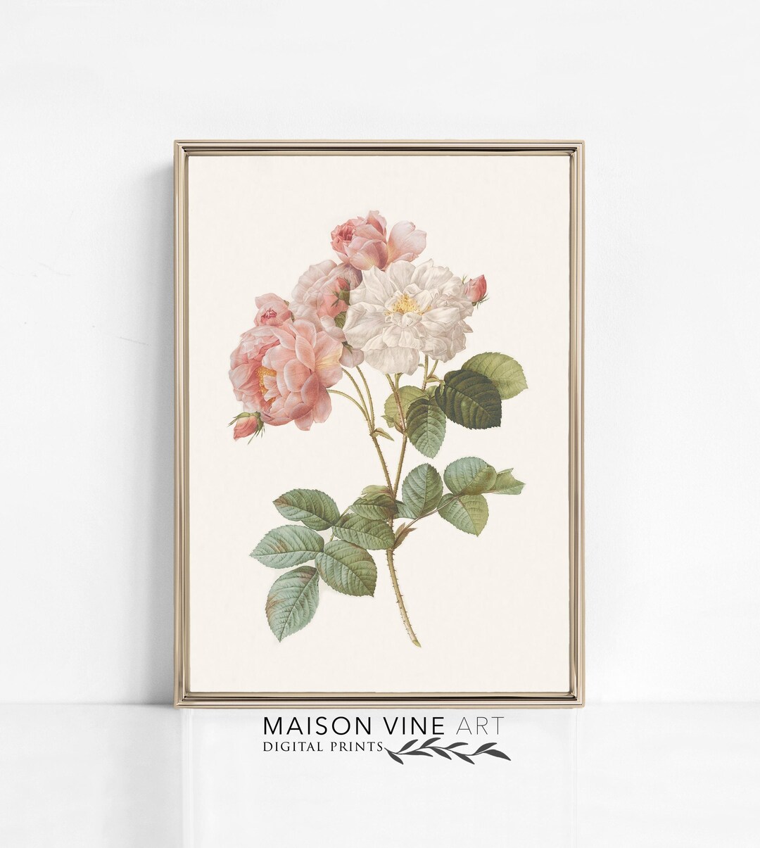 Antique Roses Print, Vintage Botanical, Printable Flower Art, Floral ...
