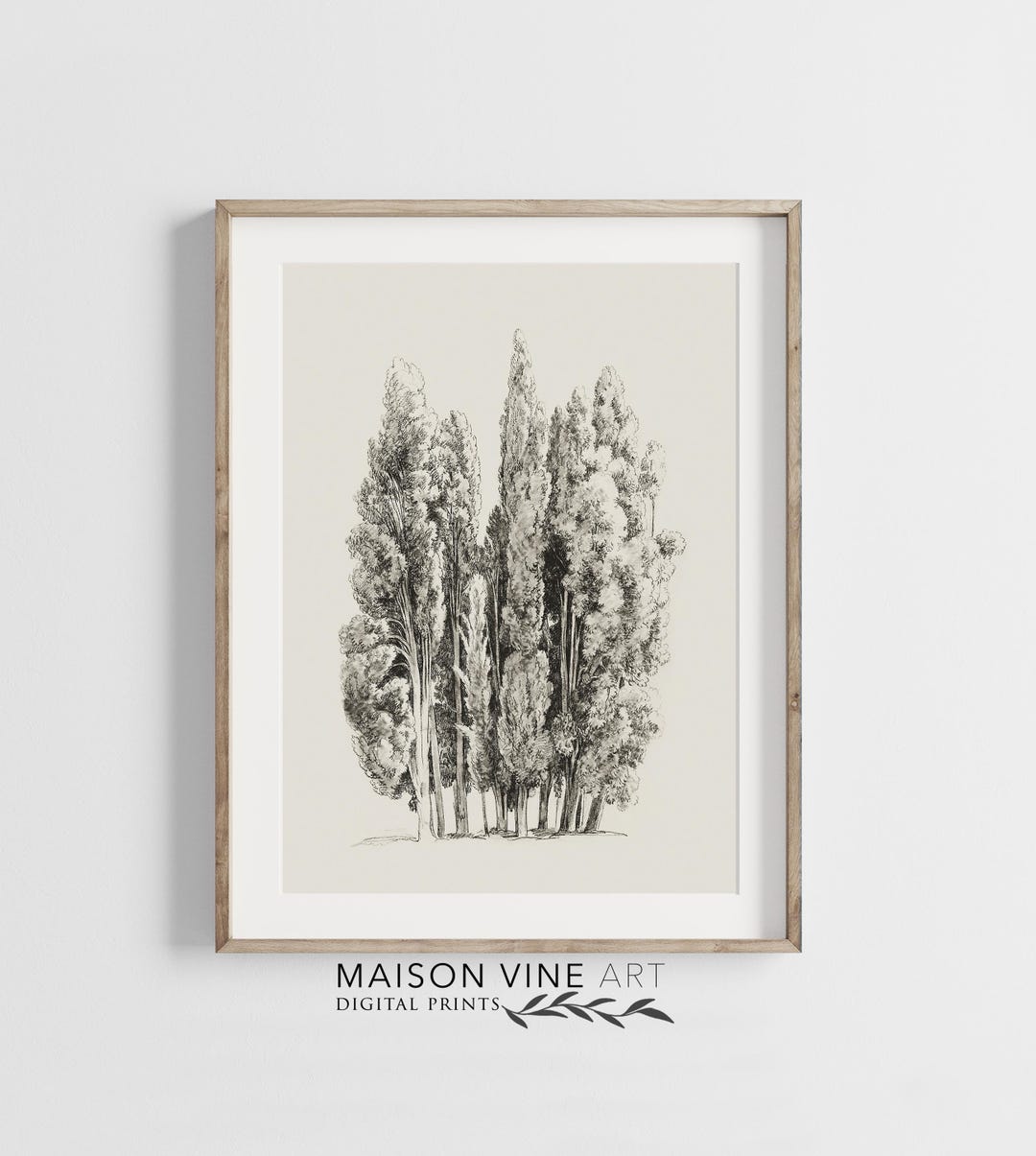 Vintage Cypress Print | Printable Wall Art | Vintage Tree Sketch ...