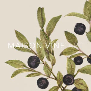 Huckleberry Print | Printable Vintage Art | Farmhouse Kitchen ...