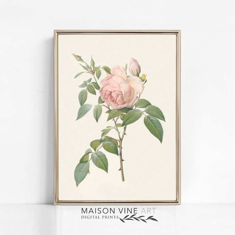 Antique Roses Kitchen - Etsy