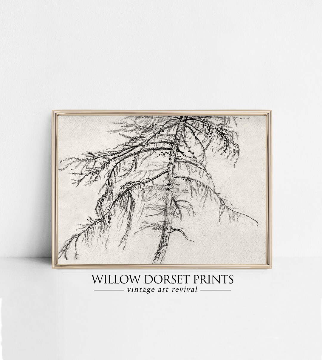 Antique Tree Sketch Printable Art Larch Tree Drawing Shabby Tree ...