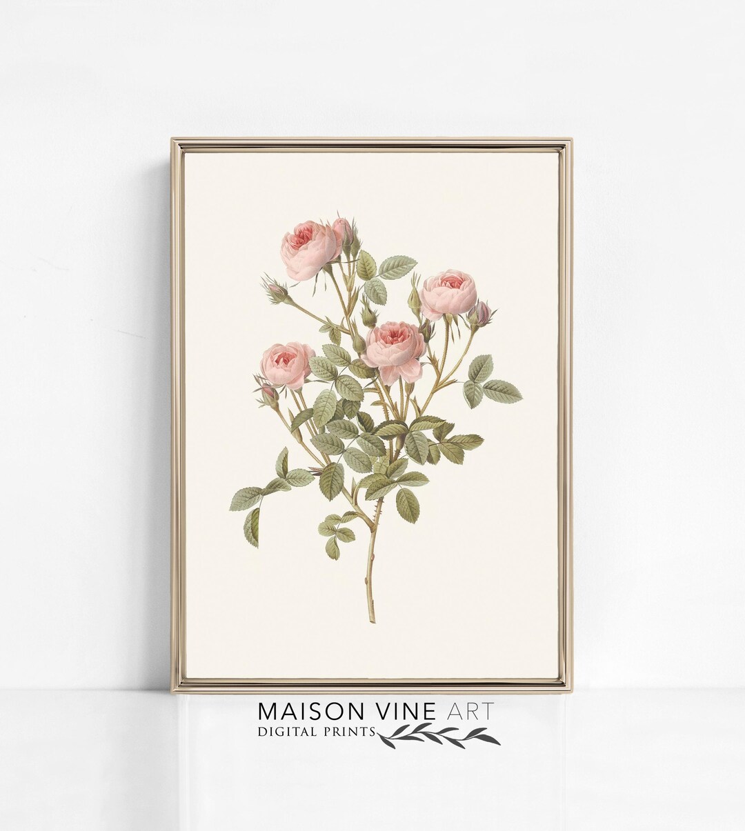 Antique Rose Print | Vintage Botanical, Printable Flower Art, Floral ...