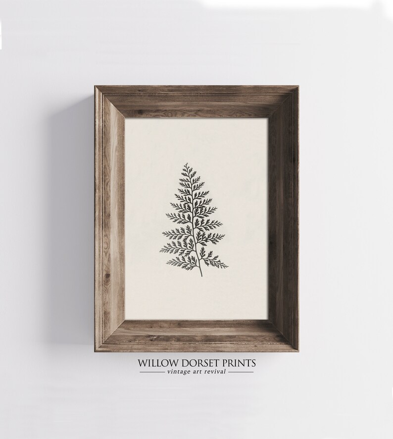 Fern Leaf Engraving Printable Vintage Art Fern Leaves - Etsy