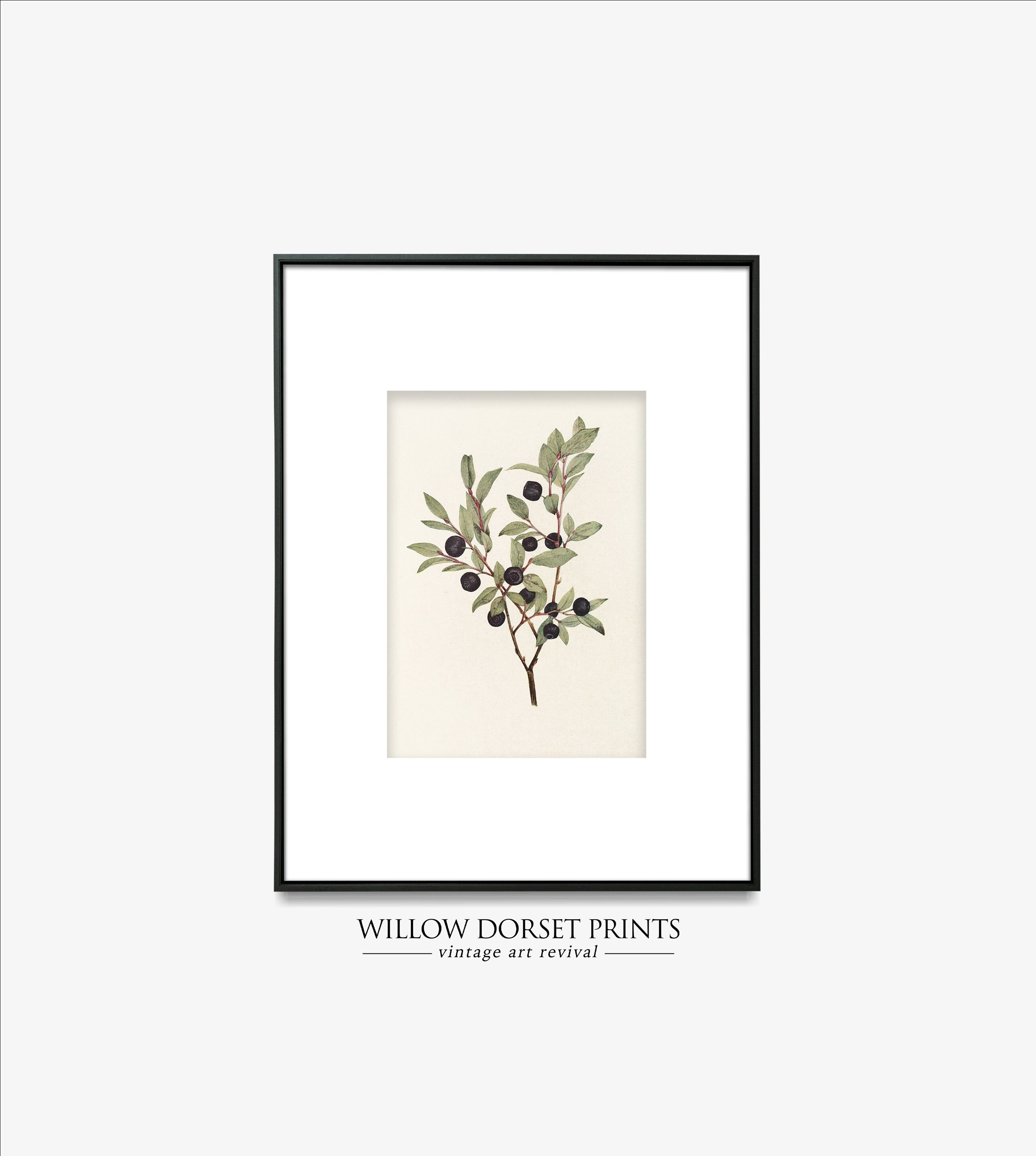 Huckleberry Print Printable Vintage Art Farmhouse Kitchen Botanical ...
