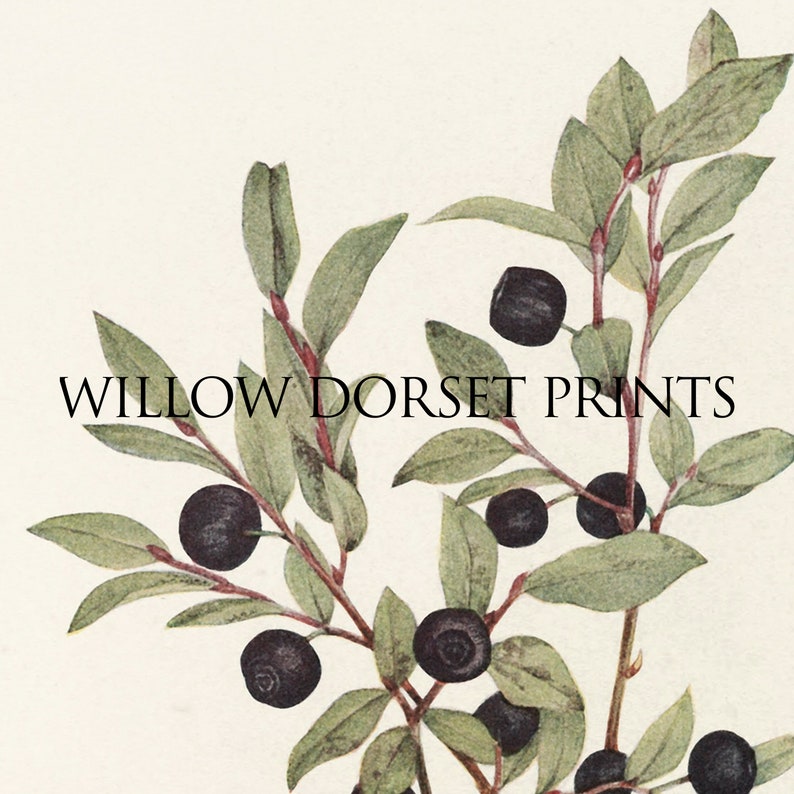 Huckleberry Print Printable Vintage Art Farmhouse Kitchen Botanical ...