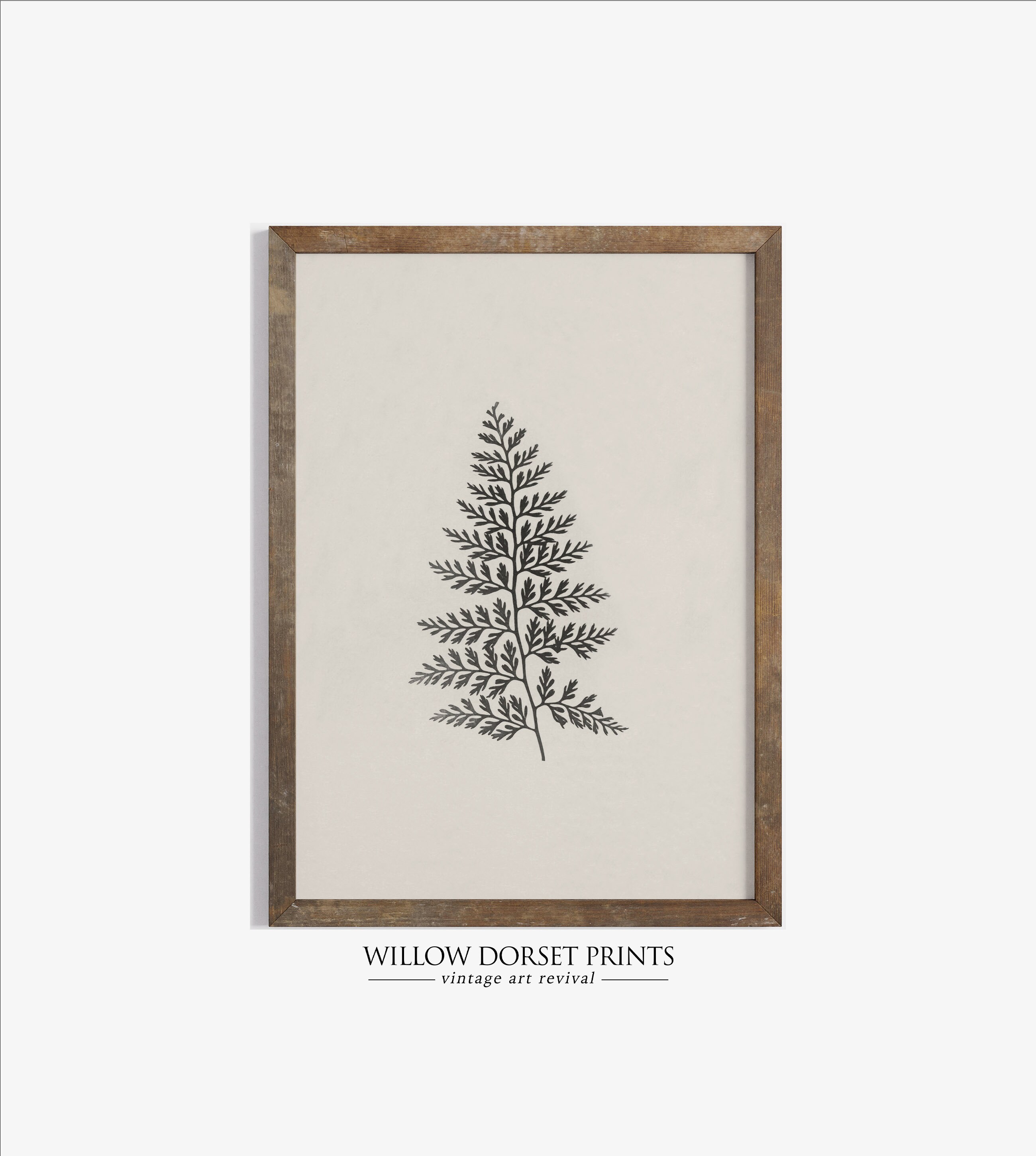 Fern Leaf Engraving Printable Vintage Art Fern Leaves - Etsy