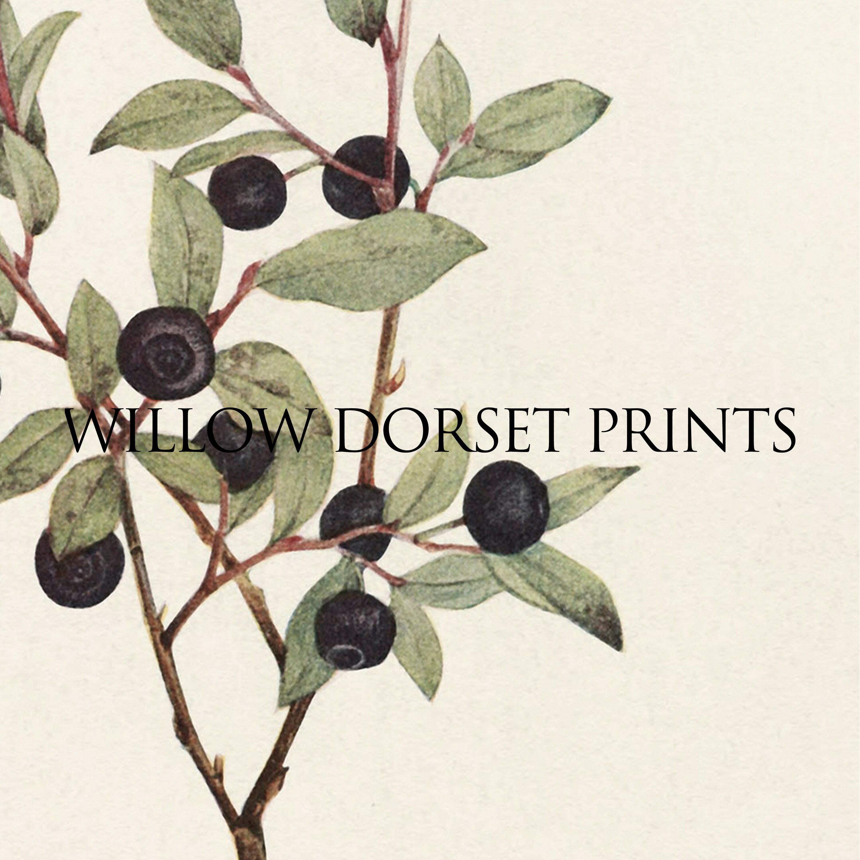 Huckleberry Print Printable Vintage Art Farmhouse Kitchen Botanical ...