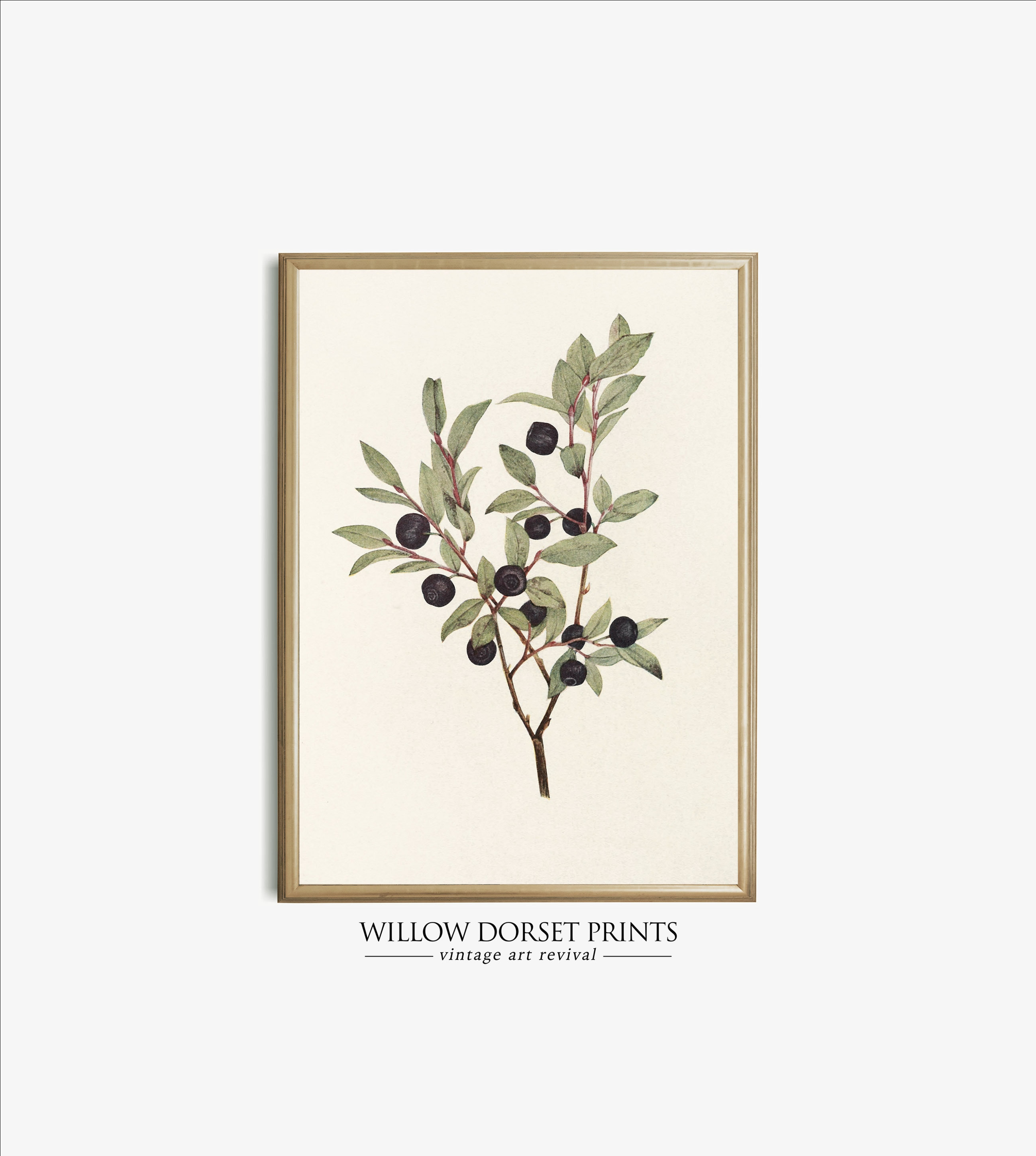 Huckleberry Print Printable Vintage Art Farmhouse Kitchen Botanical ...