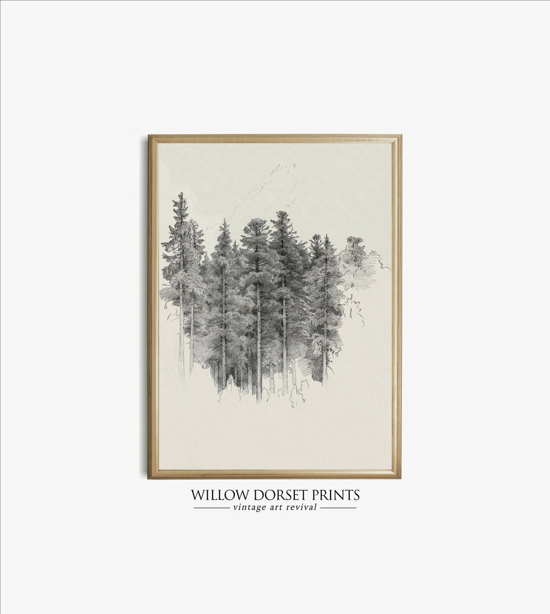 Pine Forest Drawing Downloadable Printable Digital Art - Etsy