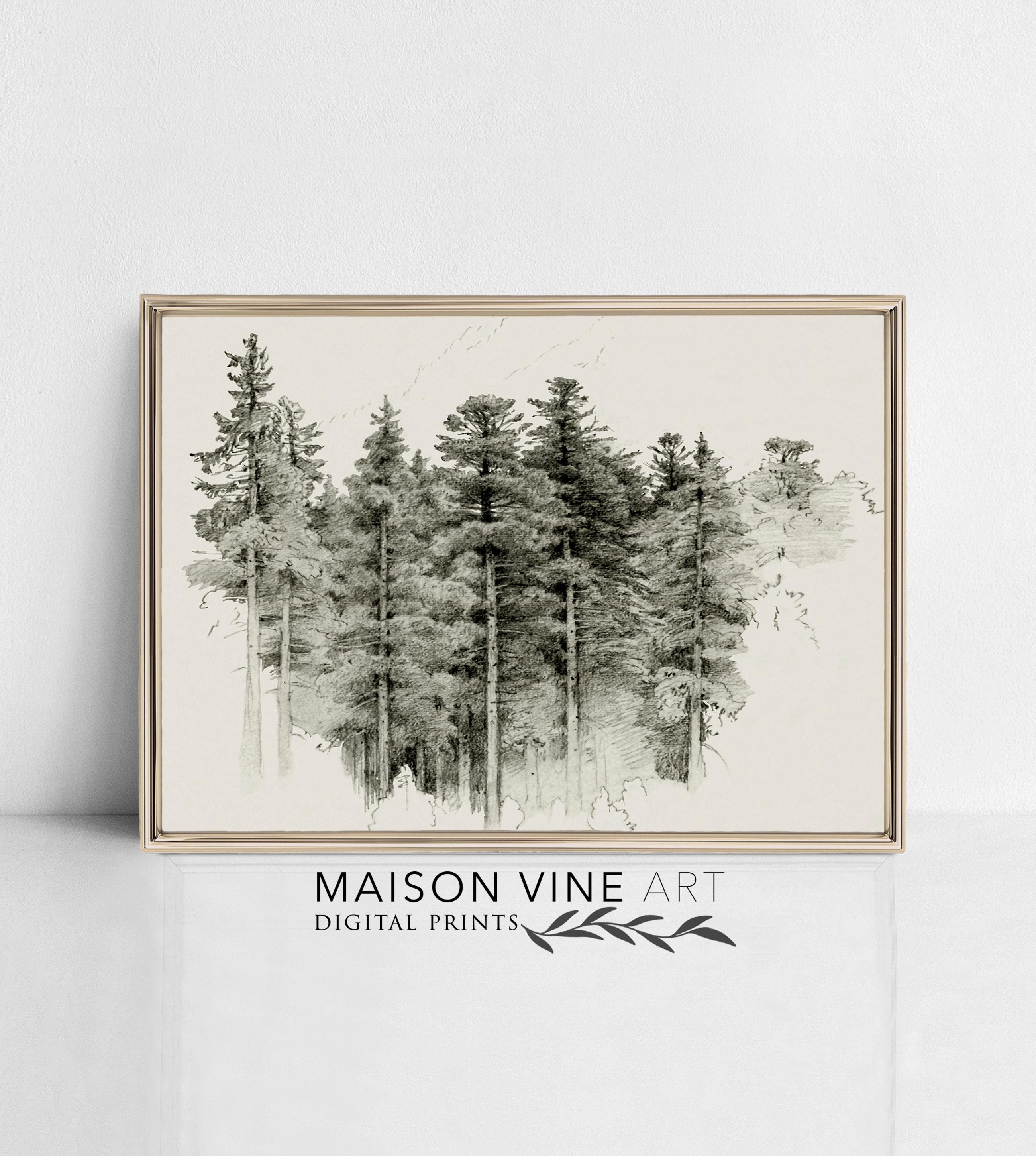 Pine Forest Drawing | Downloadable Printable Digital Art | 1065 - Etsy