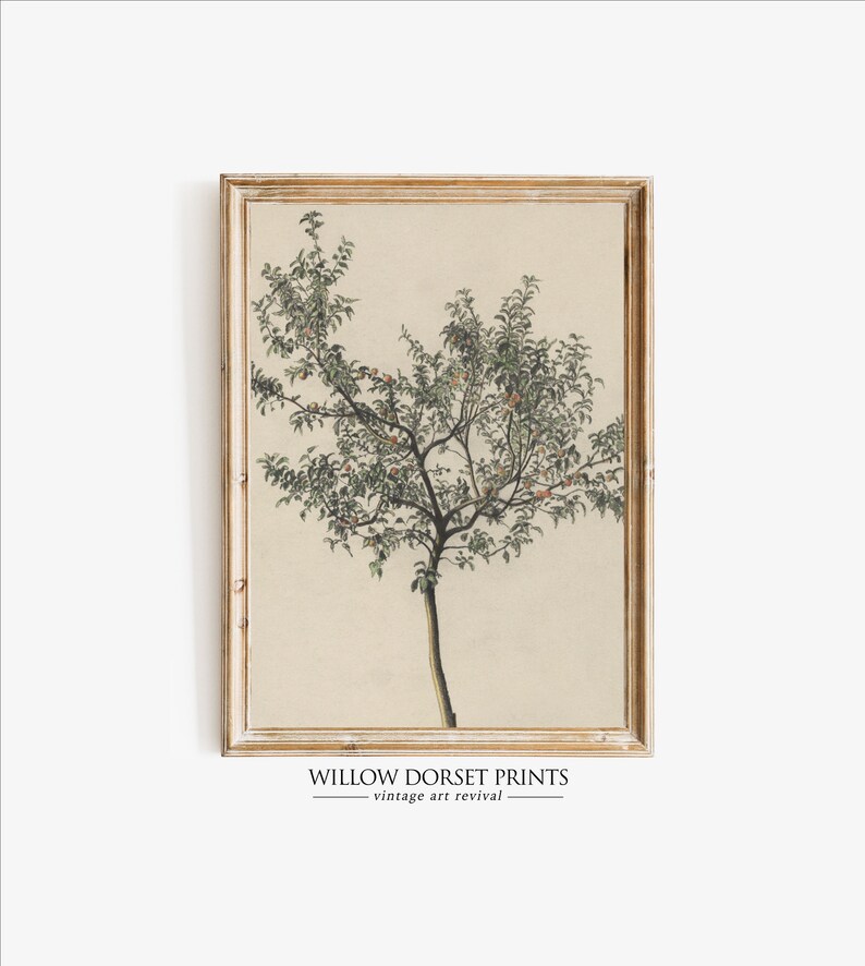Vintage Fruit Tree Botanical Print Printable Digital - Etsy